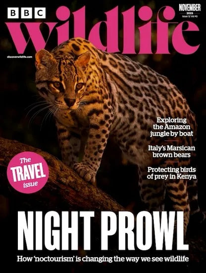 BBC WILDLIFE (UK) – WIP ABONE